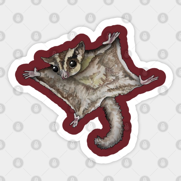 Flying Sugar Glider - Sugar Glider - Sticker | TeePublic