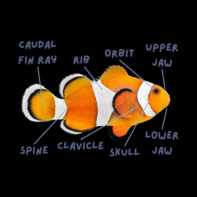 Anatomy of a Clownfish And Funny Labels - Anatomy Of A - Pin | TeePublic