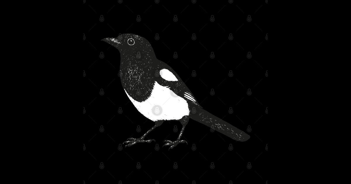 Magpie pen drawing - Magpie - Sticker | TeePublic