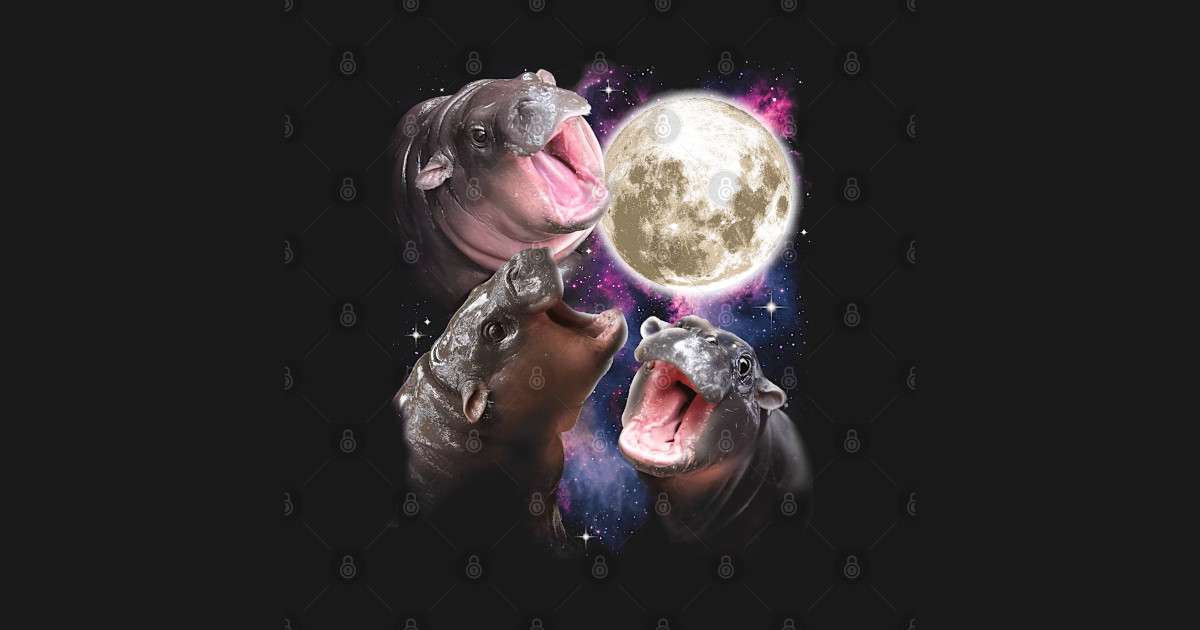 3 Moon Deng Baby Hippo Howling Meme Moo Deng - Moo Deng Hippo - T-Shirt ...