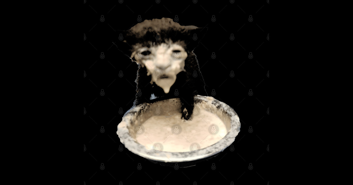 Milk Face Cat Meme Shirt, Funny Cat Meme T-shirt, Dank Memes Tee Shirt ...