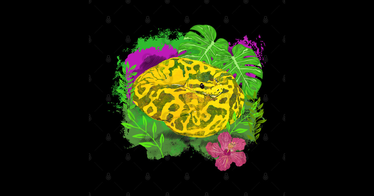 Jungle Ball Python Snake - Ball Python - Sticker | TeePublic