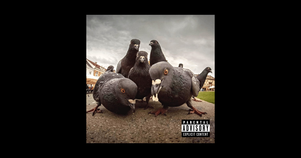 Pigeons Album Cover - Pigeons - Sticker | TeePublic