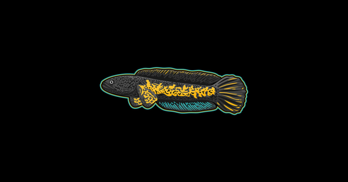 CHANNA FISH KUNING TAI - Fish Channa - Sticker | TeePublic