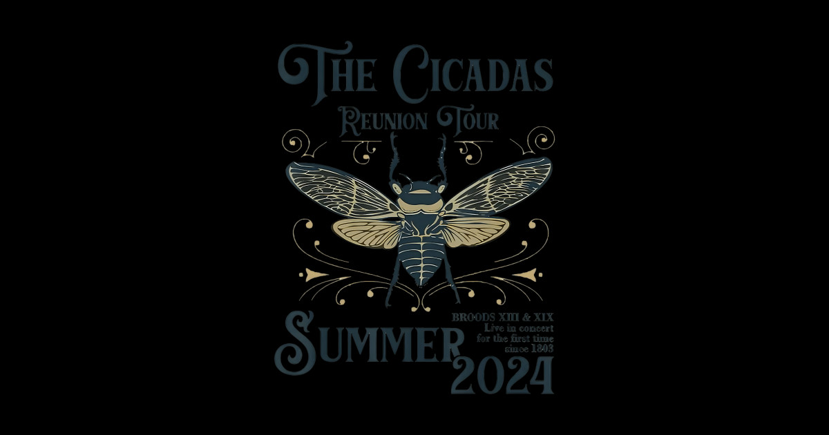 The Cicada Reunion US Tour 2024 Cicada Concert - Cicada Tour 2024 ...