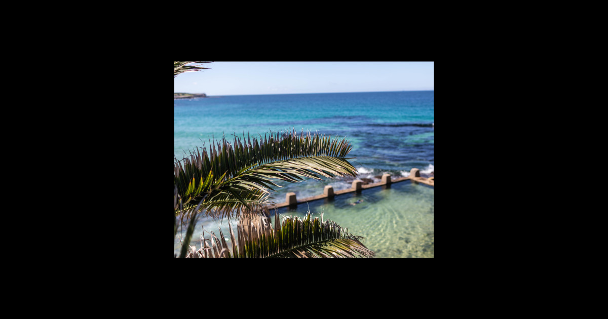 swimming pool - Pool - Sticker | TeePublic