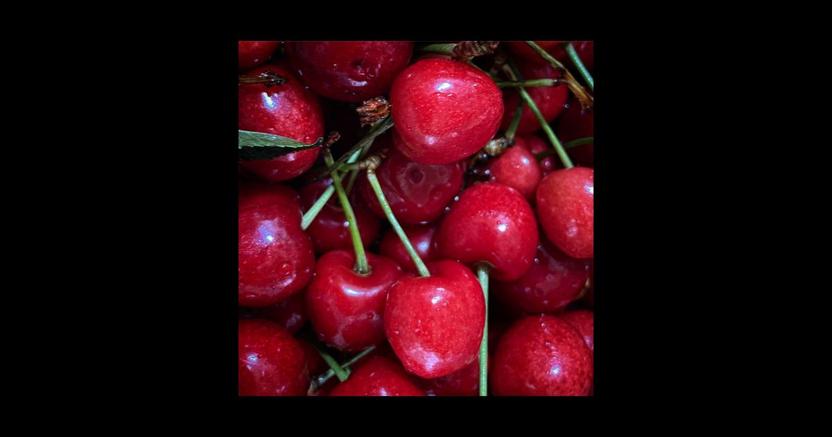 Cherry pals - Friendship - Sticker | TeePublic