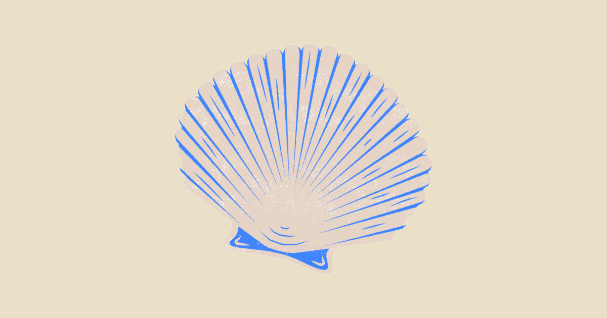 Blue and tan clam shell - Sea Life - T-Shirt | TeePublic