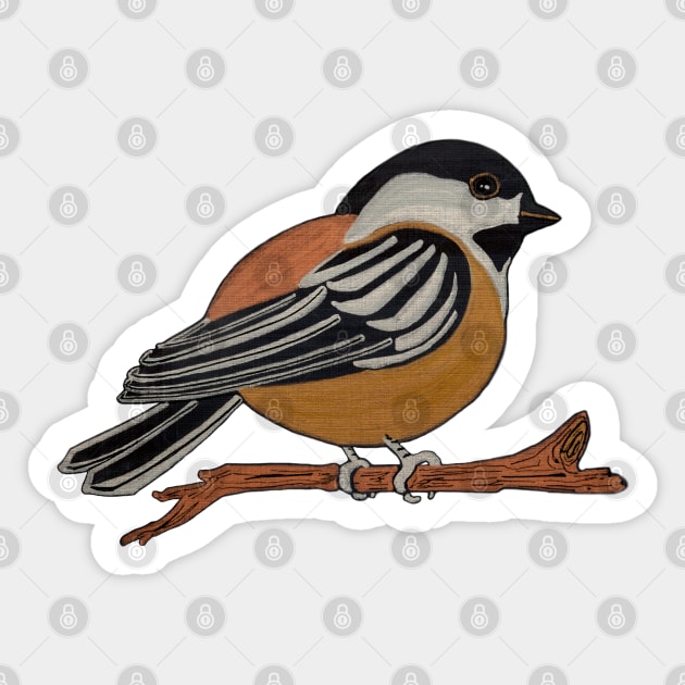 chickadee drawing cute