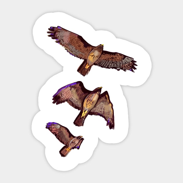 Hawks in Flight - Hawk - Sticker | TeePublic