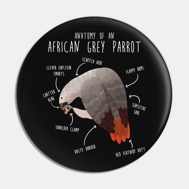 African Grey Anatomy - African Grey - Pin | TeePublic