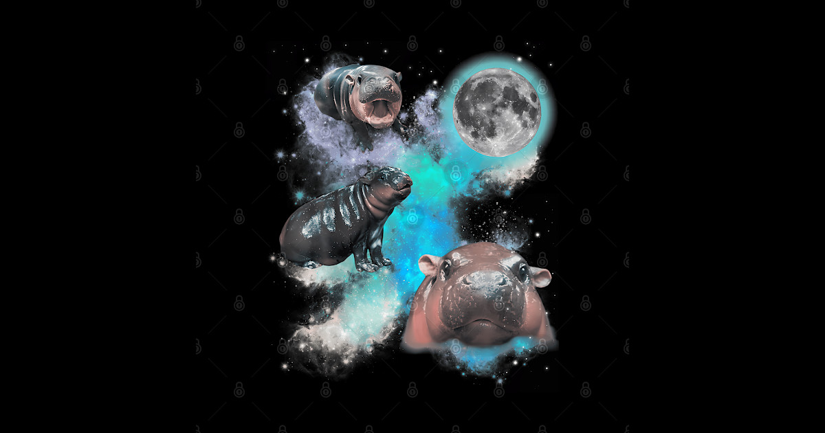 Moo Deng Three Moo Deng Moon Funny Hippo - Moo Deng - Sticker | TeePublic