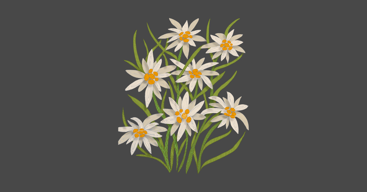 Edelweiss - Edelweiss - T-Shirt | TeePublic