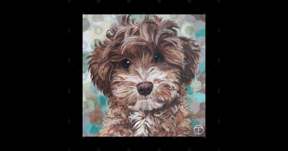 CAVAPOO (2023) - Cavapoo - Sticker | TeePublic