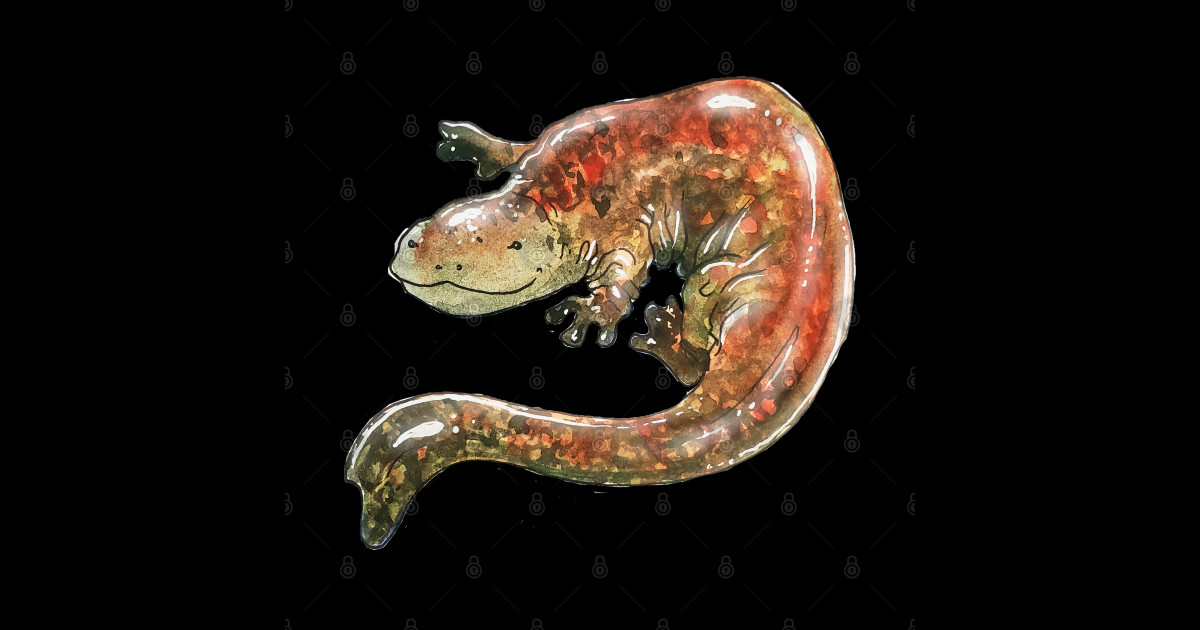 Watercolor Hellbender Design - Hellbender - Sticker | TeePublic