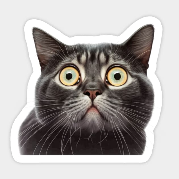 Funny Scared Cat Face, Cat Lover, Scaredy Cat - Funny Cat - Sticker ...