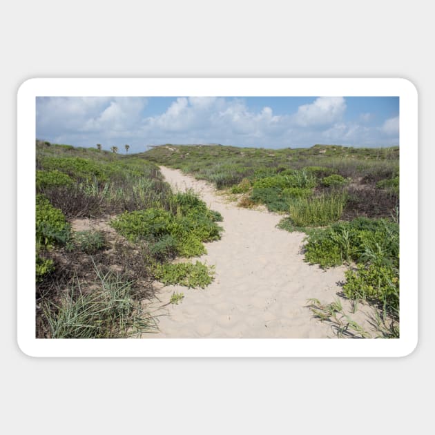 Beach Path - Beach - Sticker | TeePublic