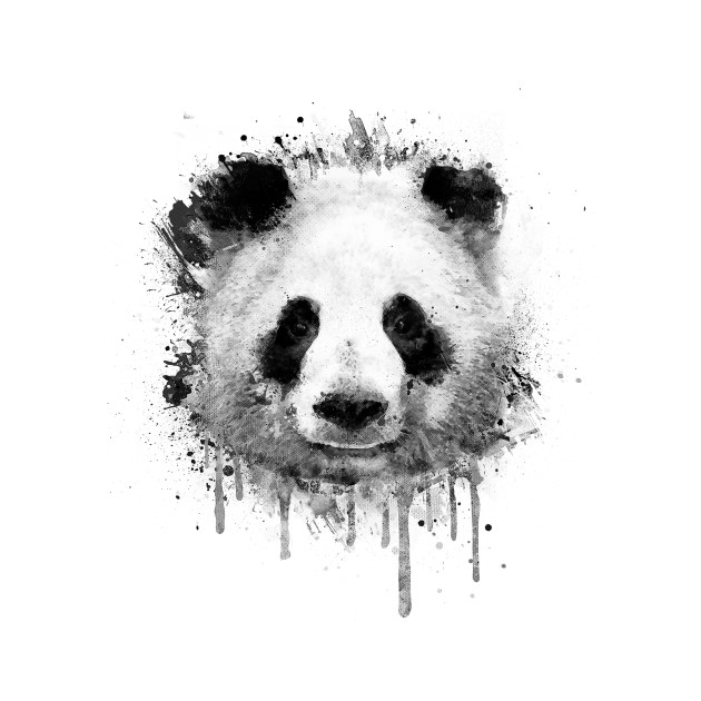 Cool Abstract Panda Portrait in Black & White - Animal - Long Sleeve T ...