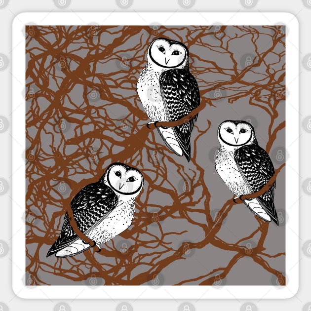 Tasmanian Masked Owl - Endangered Species - Tasmanian - Sticker | TeePublic