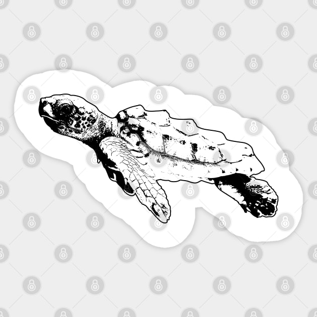 Cute Turtle Art - Cute Turtle - Sticker | TeePublic