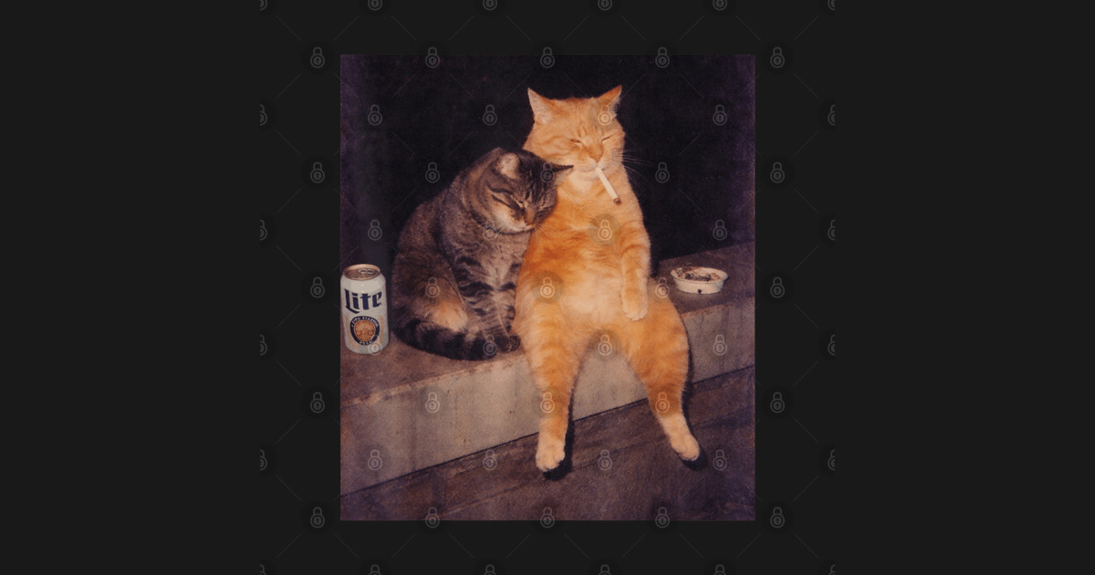 Smoking Cat With Beer Vintage - Smoking Cat - T-Shirt | TeePublic