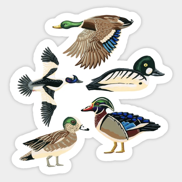 North American Ducks - Duck - Sticker | TeePublic