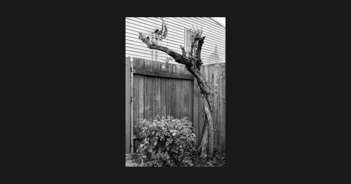 Backyard Sentinel - Backyard Tree - T-Shirt | TeePublic