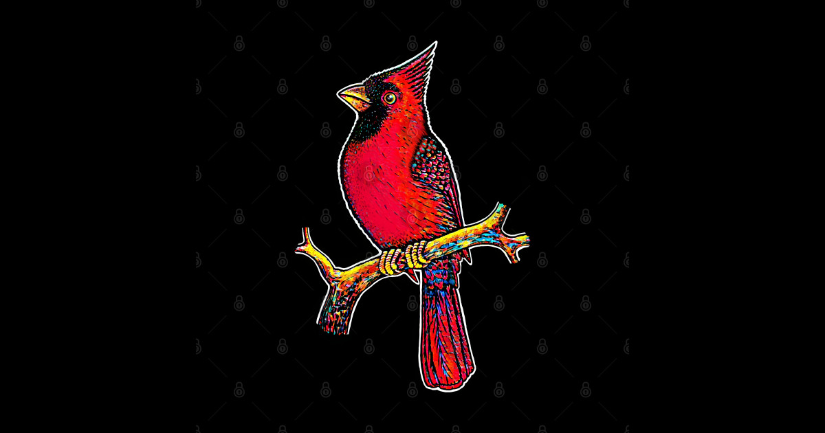 Red Cardinal bird cute cardinal - Red Cardinal Red Cardinal Lover Bird ...