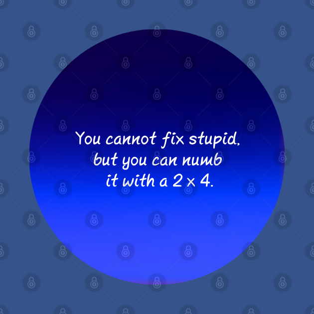 You cannot fix stupid but you can numb it with a 2x4 - Stupid - T-Shirt ...