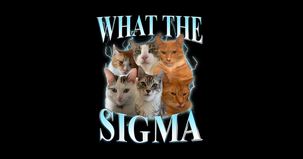 What The Sigma Cat & Funny Meme - What The Sigma Cat - Sticker | TeePublic
