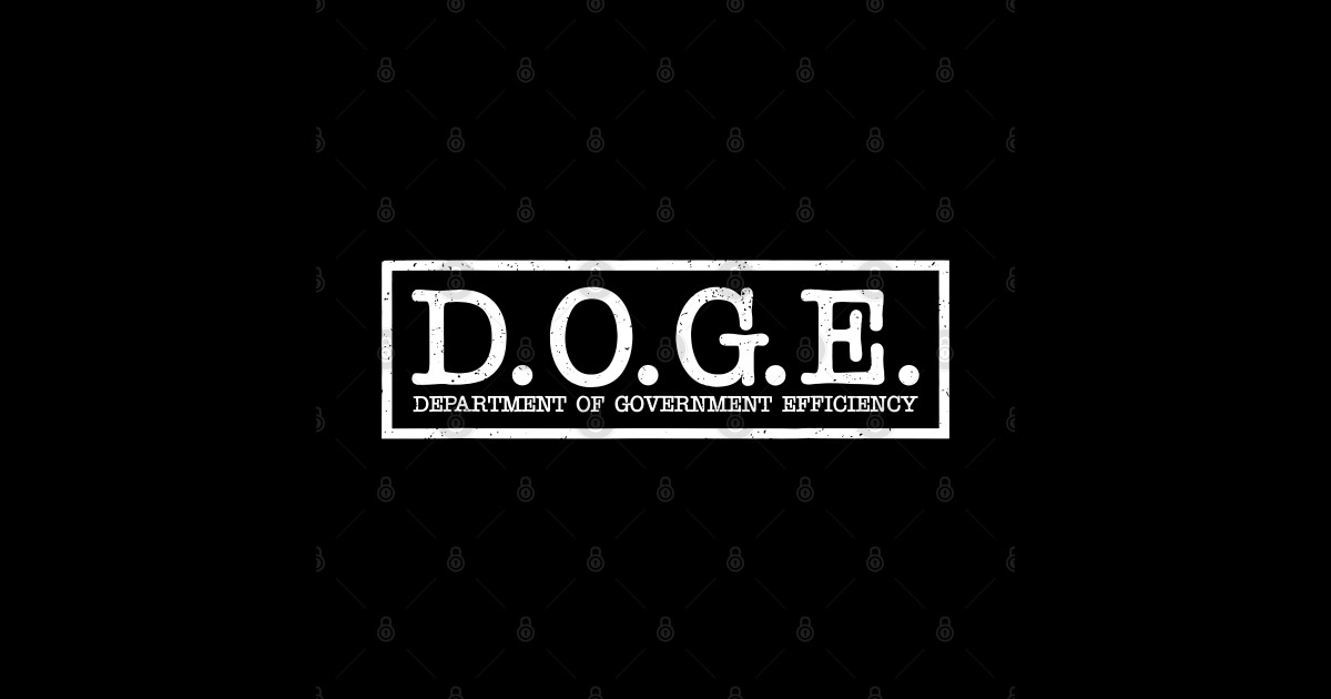 Doge Department Of Government Efficiency - Doge - Sticker | TeePublic