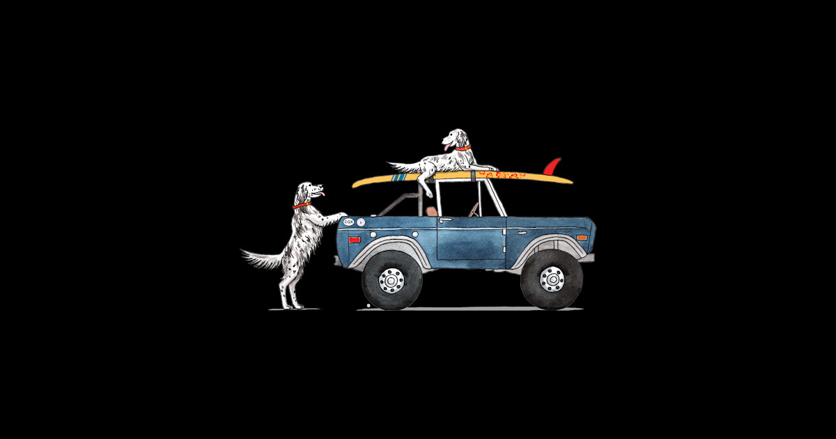 Ford Bronco with English Setters and Surfboards. - Ford Bronco ...
