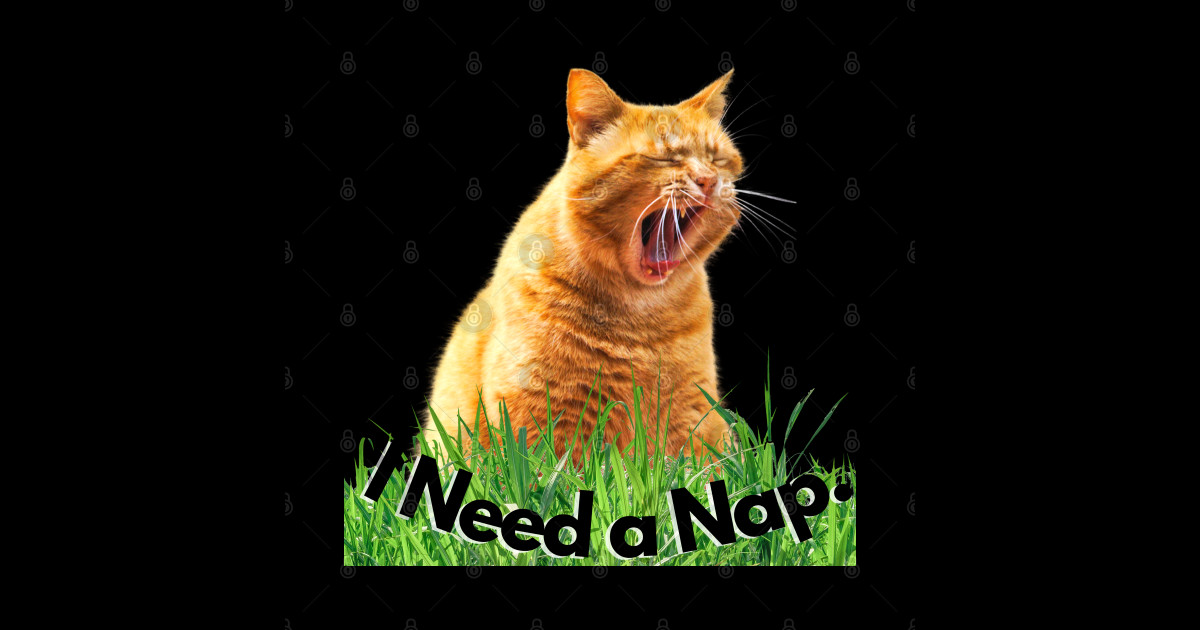 Sleepy Tired Orange Tabby Cat Yawning - Sleepy Tired Orange Tabby Cat ...