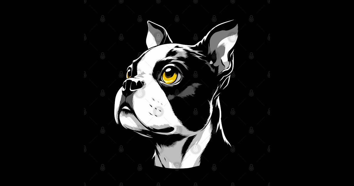 Stunning and Cool Boston Terrier Monochrome and Gold Portrait for ...