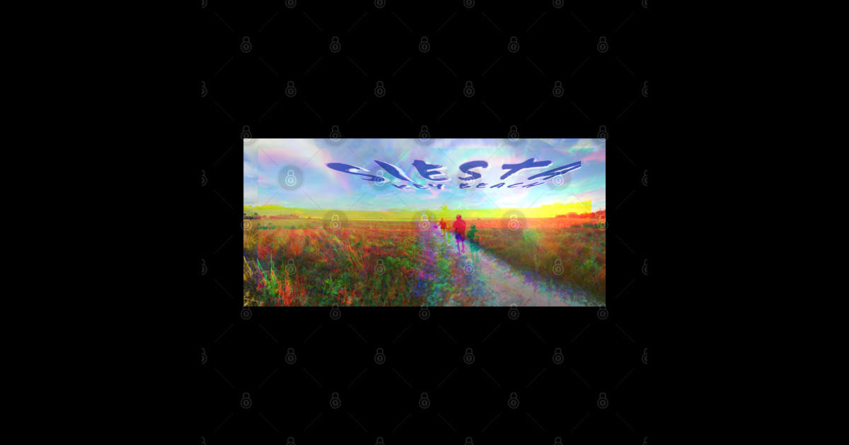 Siesta Key Beach Florida - Beach - Magnet | TeePublic