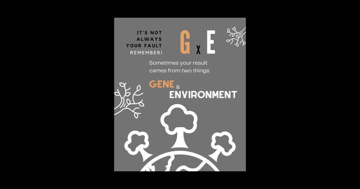 Plant Breeding Series #2 Gene By Environtment - Plant Breeding ...