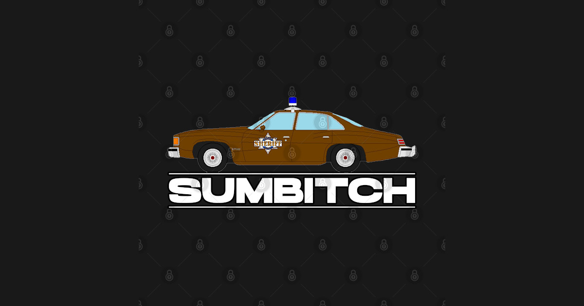 Sumbitch | ⁠Smokey And The Bandit | Sheriff Car - Smokey And The Bandit ...