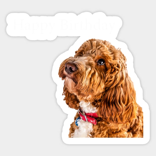 Cockapoo Happy birthday - Paul Thompson Photography - Sticker | TeePublic