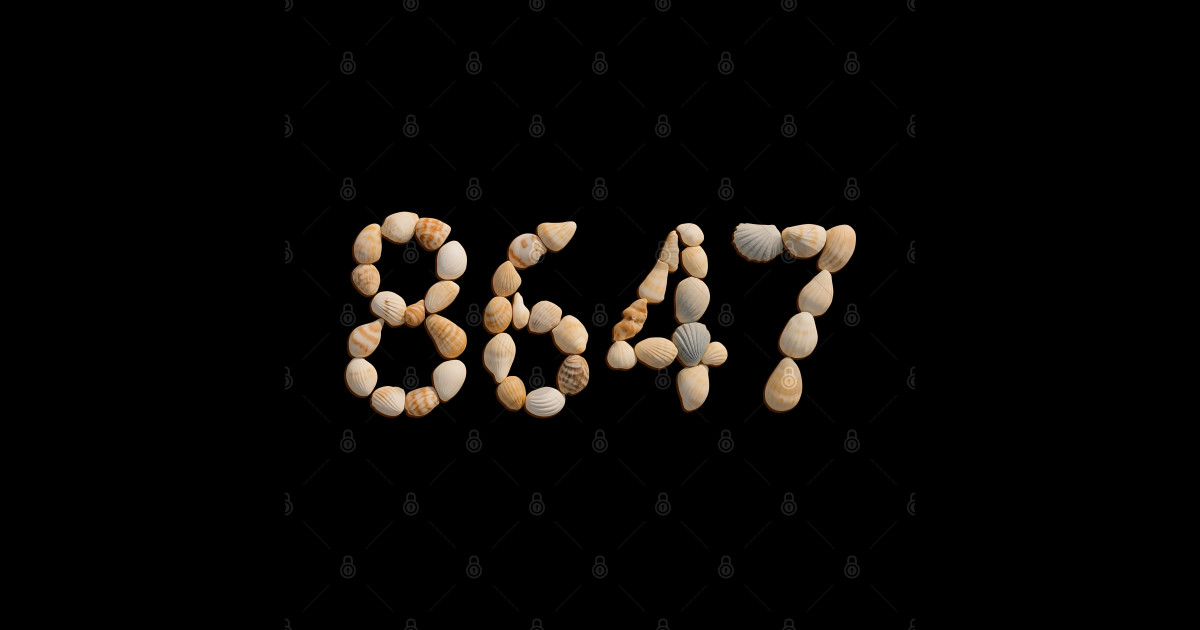 86 47 8647 Shirt 86 47 Seashells Sea Shells Summer Beach - 86 47 ...