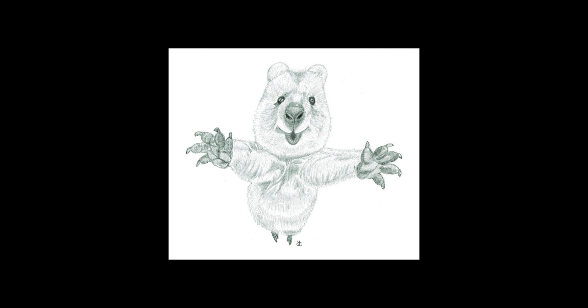 Quokka jumping for joy - Quokka - Sticker | TeePublic