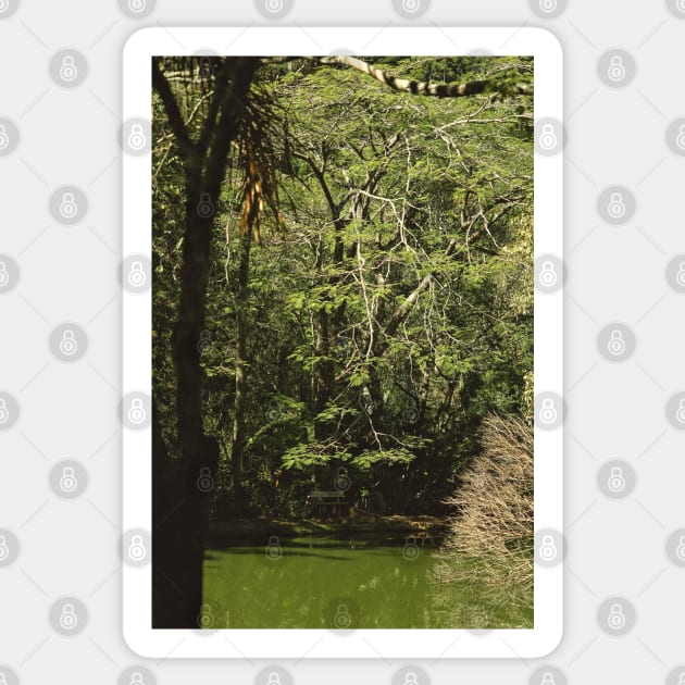 The Lake - Fotografia - Sticker | TeePublic