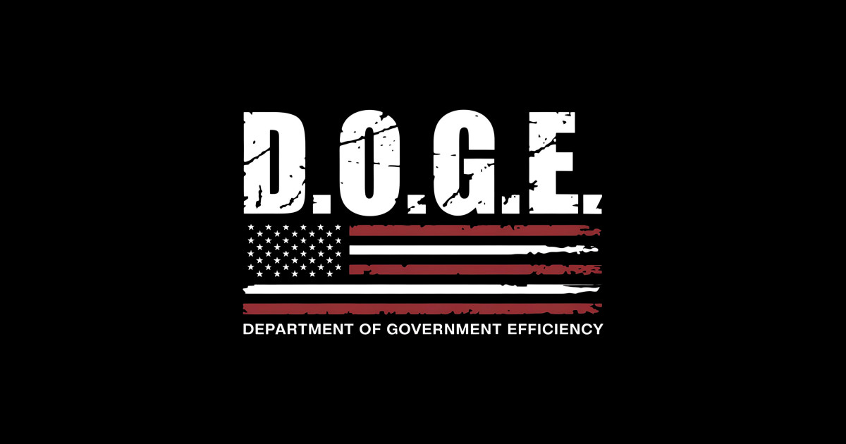 Doge-Department-Of-Government-Efficiency-Us-Flag - Doge Department Of ...