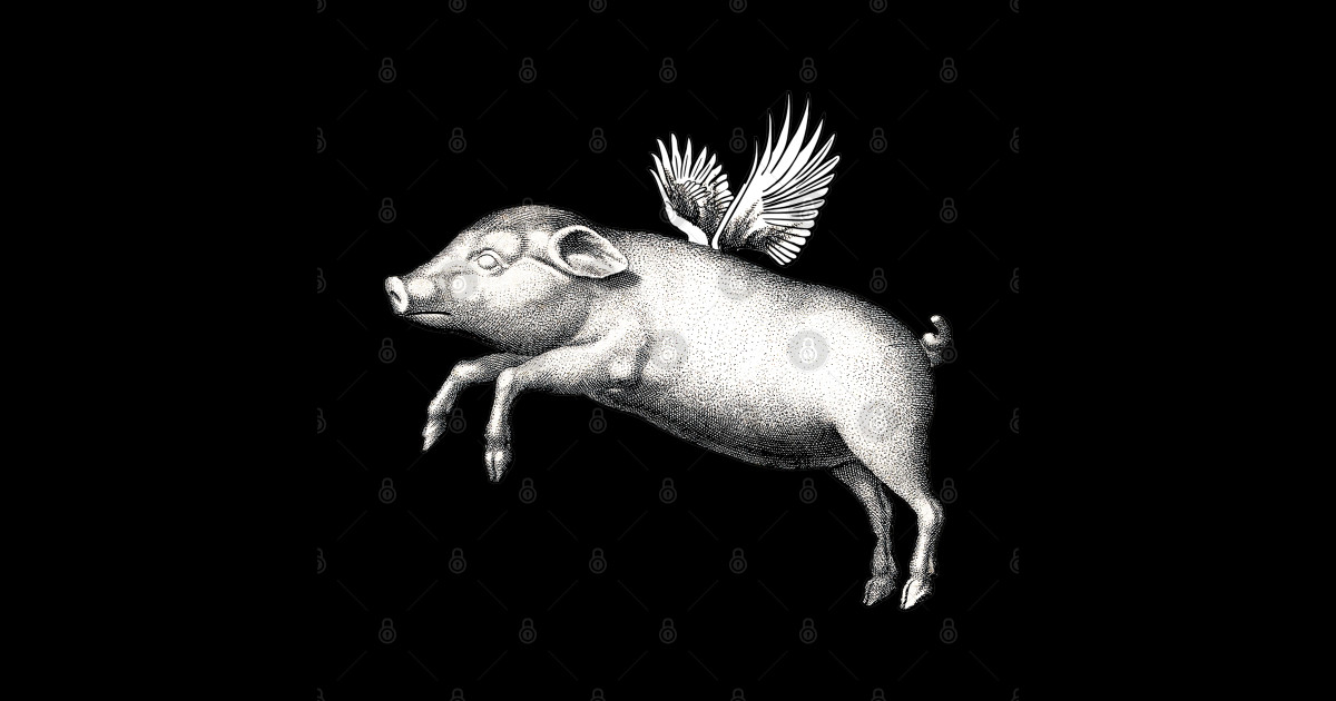 Flying Pig Funny Black And White Vintage Winged Animal - Flying Pig ...