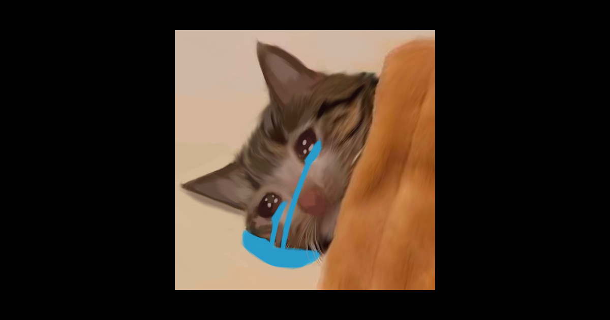 Sad cat meme - Sad Cat Meme - Sticker | TeePublic