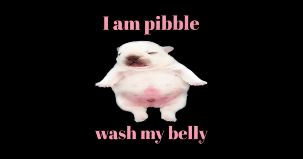 I Am Pibble Wash My Belly Pibble Dog Brainrot - Funny Dog Meme ...
