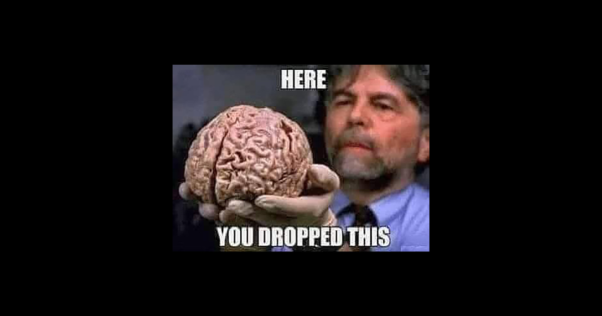 Here, You Dropped Your Brain Meme - Stupid - Sticker | TeePublic