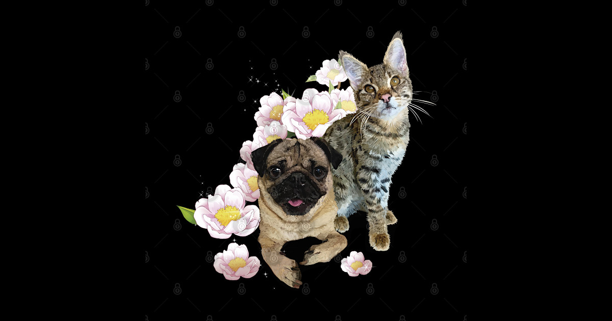 Pug and cat - Dog And Cat - Posters and Art Prints | TeePublic