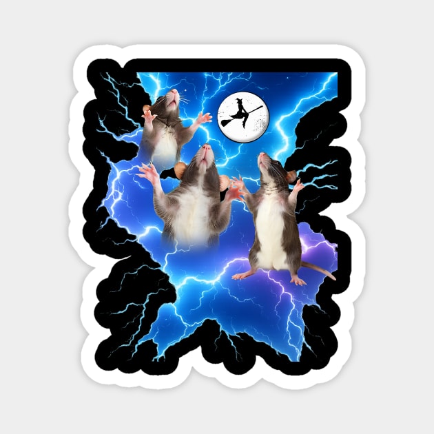 Opossum Funny Weird Cursed Meme For Possum Men Women - Opossum Funny ...