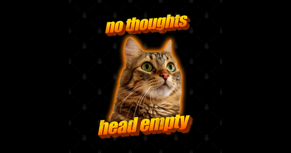 No thoughts head empty cat meme - Cat - Posters and Art Prints | TeePublic