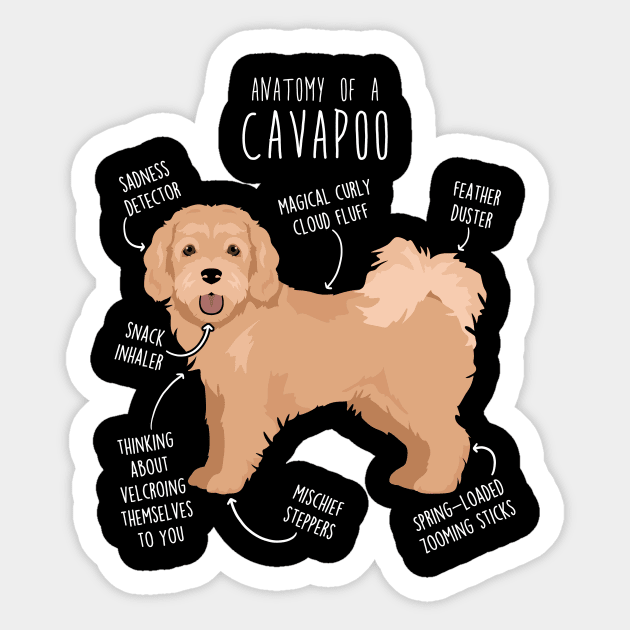 Cavapoo Dog Anatomy - Cavapoo - Sticker | TeePublic